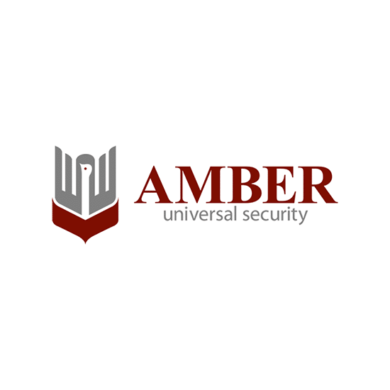 Security Logo Design - Logos for Security Companies