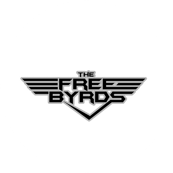 Aviation Logo Design - Airline Logos by The Logo Company