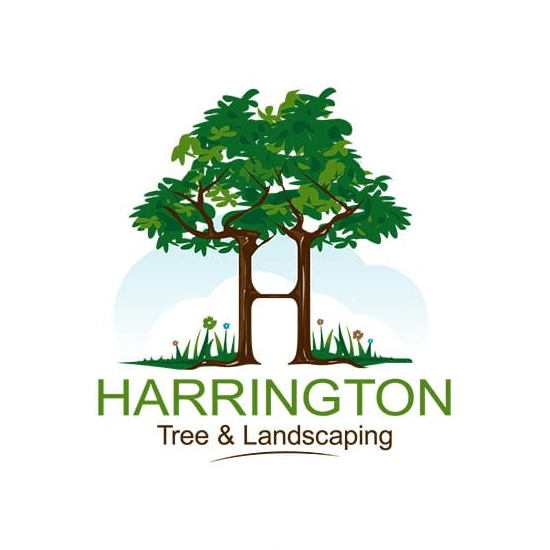 Landscaping Logo Design - Logos for Landscapers